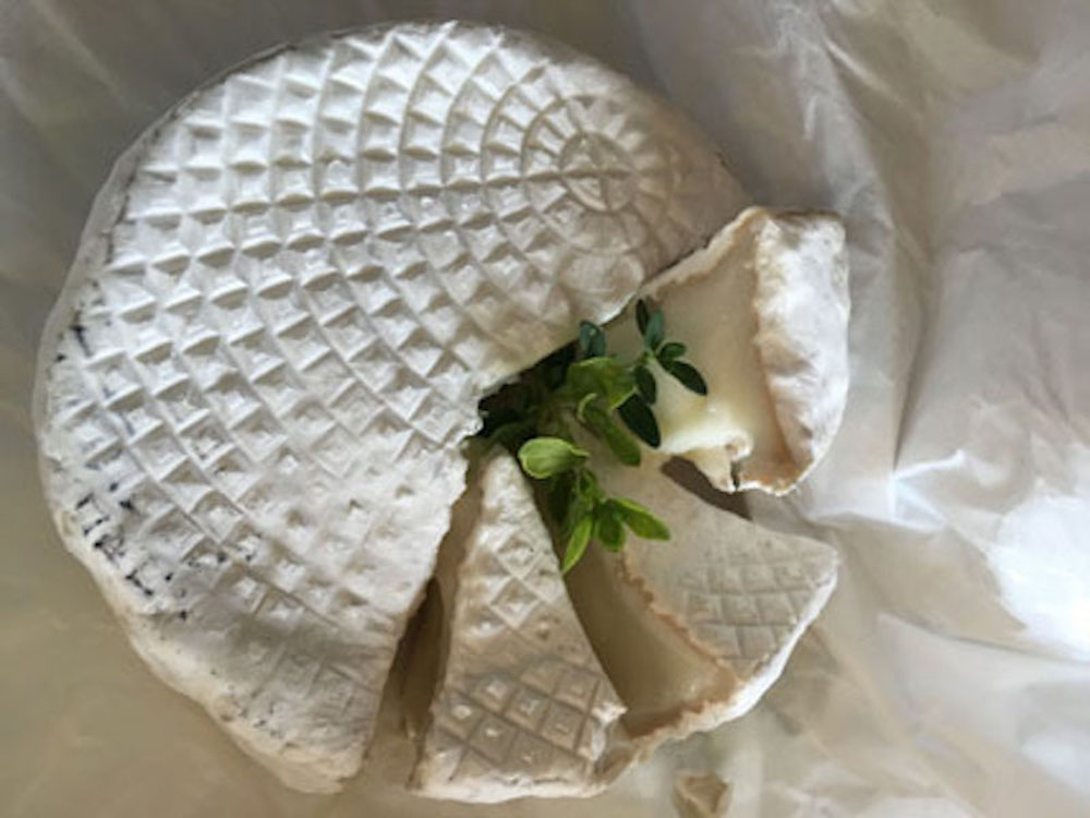 For the Love of Bloomy Rind Cheese - Goat Journal